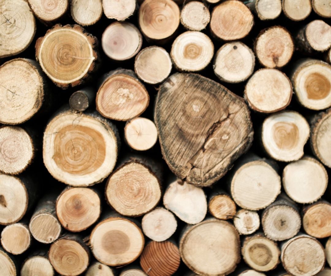 Recycler le bois en 6 étapes ? Le geste qui sauve des forêts